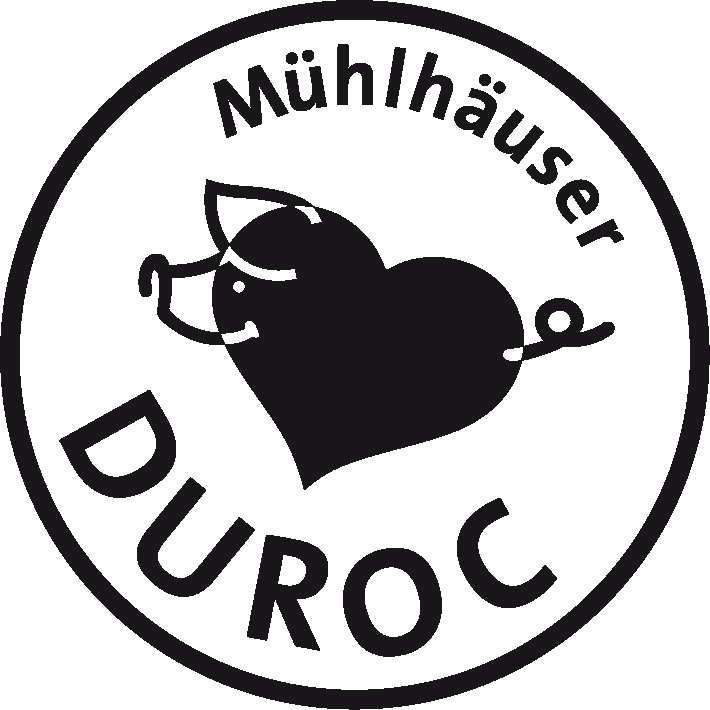 Duroc Schwein - Fleischerei Kadach